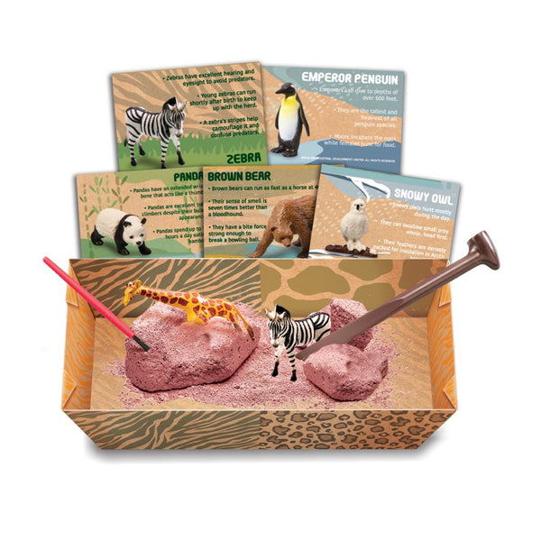 4M - KidzLabs - Wildlife Animals Digging Kit - 12 Unit Display - Johnco